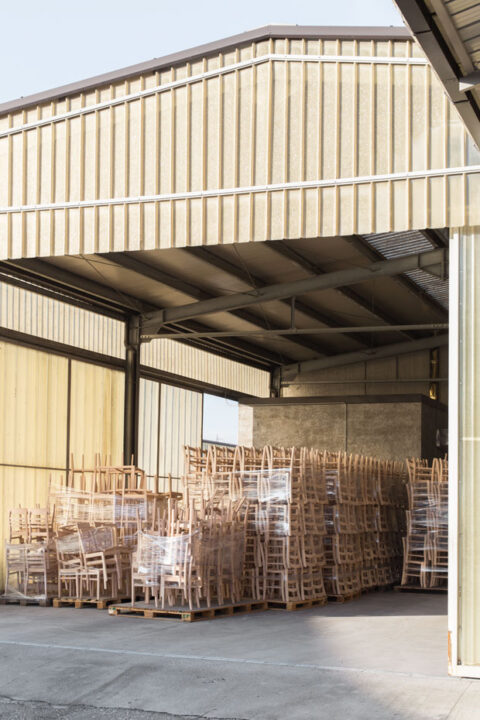 DISCOVER OUR STORY – Sfcollection